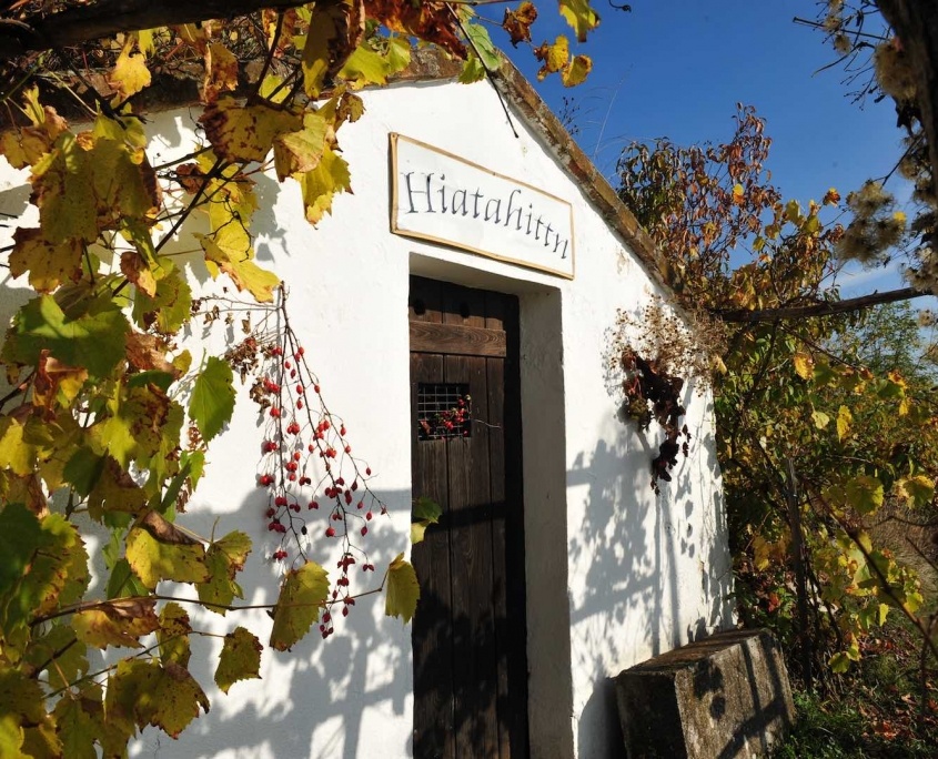 Die Weine im Kamptal – Weinkultur Kamptal